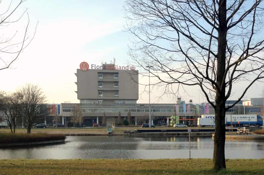 Aalsmeer in zicht